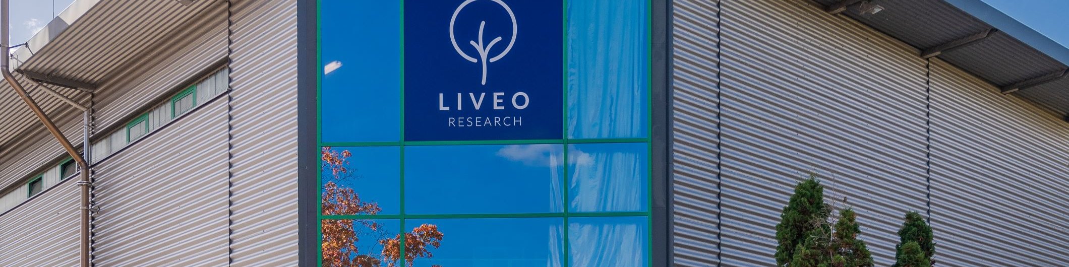 Liveo Research als Arbeitgeber: Gehalt, Karriere, Benefits ...